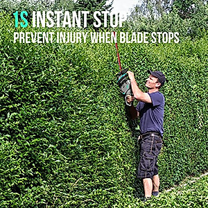 Litheli Cordless Hedge Trimmer 22″, 40V Battery Bush Trimmer Electric Hedge Trimmer for Pruning, with 2.0AH Battery and Charger