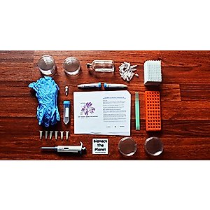 DIY Bacterial Genome Engineering CRISPR Kit