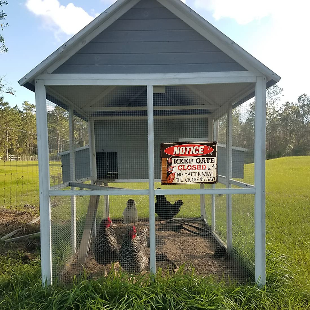 Warning Chicken Signs For Coop Funny Outdoor - Keep Gate Closed No Matter What The Chickens Say Aluminum Rust Free 9" X 11", Pre-Drilled Holes, Weather Resistant