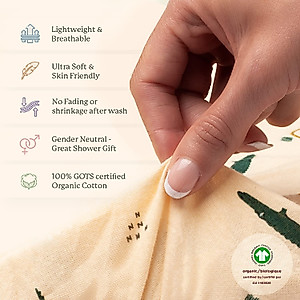 Premium Baby Fitted Crib Sheet - Pack of 1 for Standard Crib and Toddler Mattress Bedding, 100% Soft Organic Cotton, 28" x 52" Standard Size - Baby Crib Sheets for Boy and Girl, Breathable & Stretchy