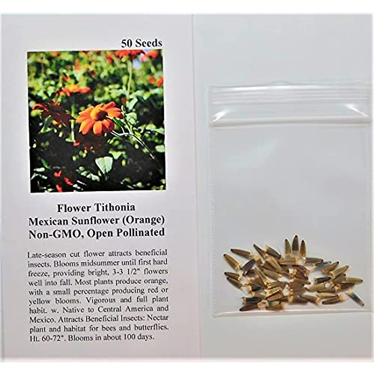 David's Garden Seeds Sunflower Dwarf Branching Stem Mexican Tithonia FBA-0089 (Orange) 50 Non-GMO, Heirloom Seeds