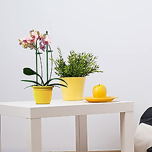 Plant Stakes Green Adjustable Garden Single Stem Plant Support Stakes,19Pcs Plant Support Sticks with Rings for Indoor and Outdoor Plants,Flowers,Tomatoes-16 inches