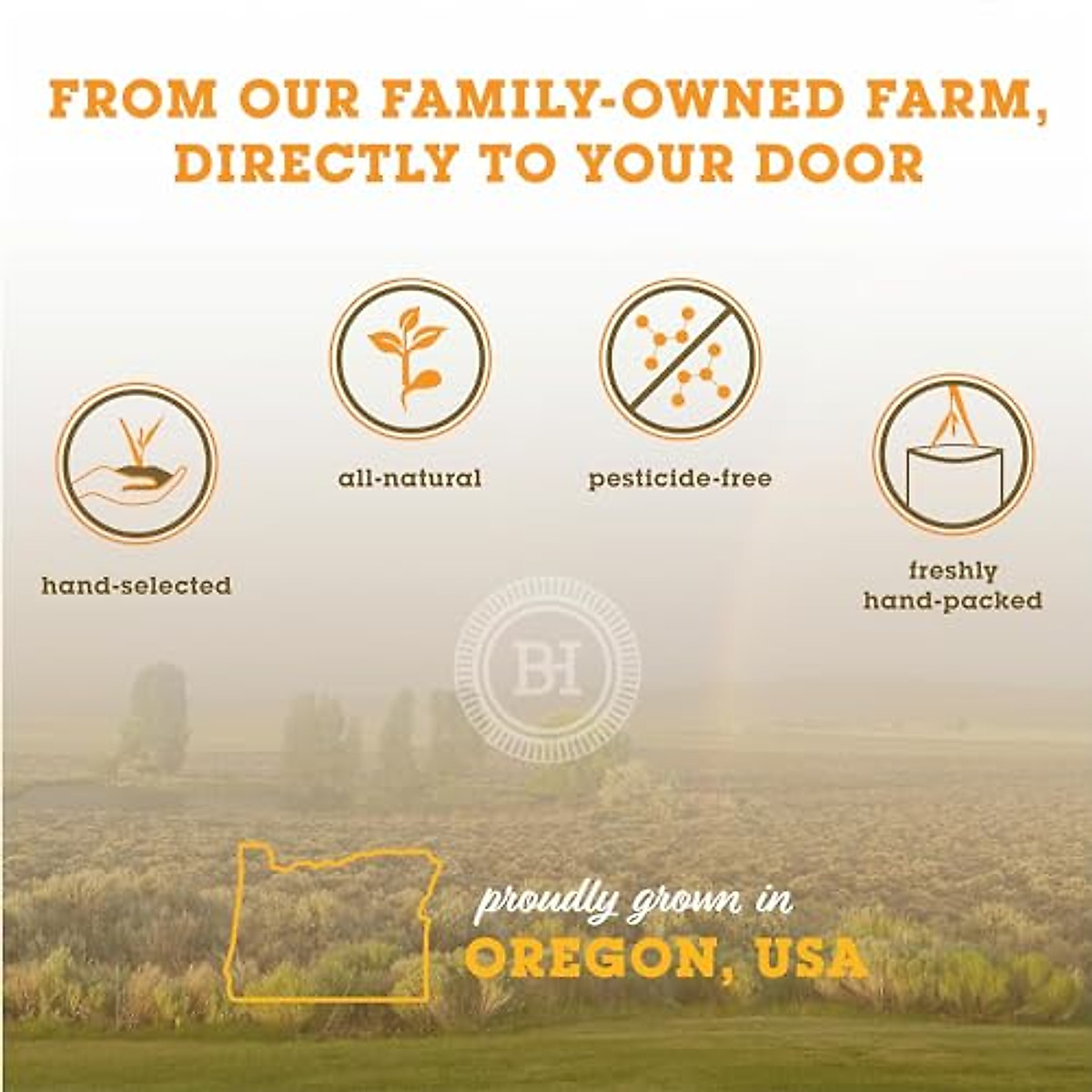 5 Lbs Fresh Alfalfa Hay by Bunny Honey - USDA Organic Natural Hay for Guinea Pigs, Rabbits, Hamsters, Hedgehogs, and More Small Select Animal Pets - 2nd Cut Fresh from Farm (5LB)