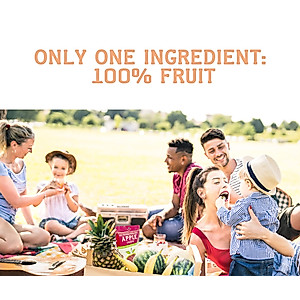 Nature’s Turn Freeze-Dried Fruit Snacks, Superfruit Variety, Pack of 16 (0.53 oz Each)