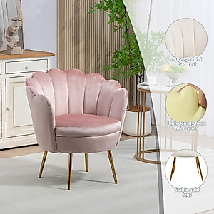hegmentine Modern Accent Home Office Chair Desk Chair Task Vanity Chair Makeup Chairs Velvet Living Room, Bedroom…(Iceberry Pink)