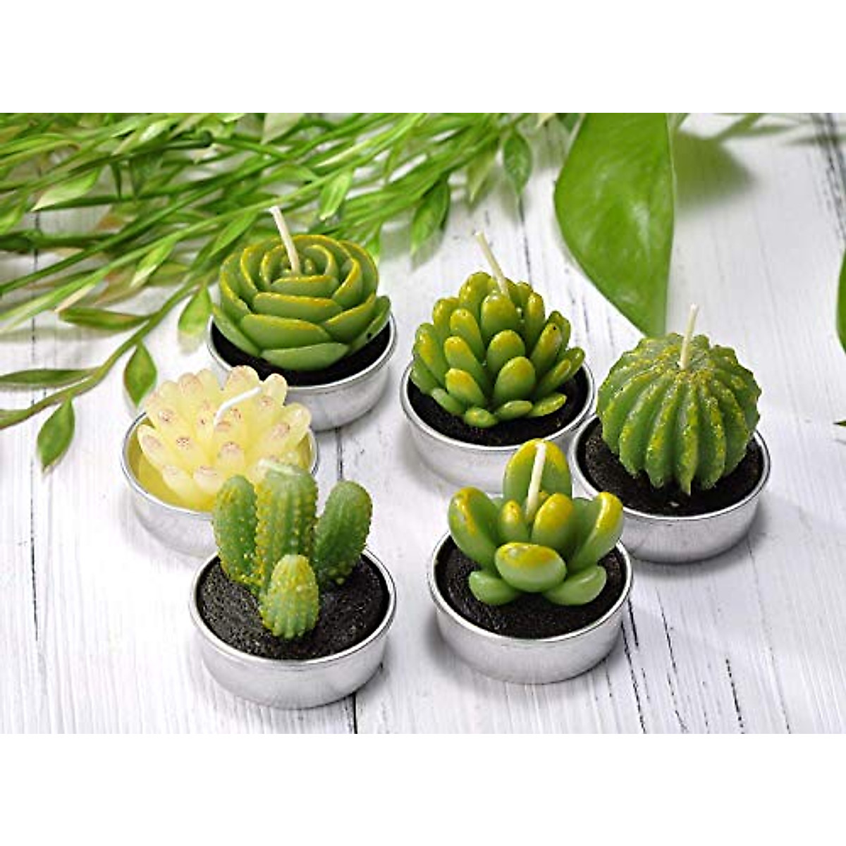 Cactus Tea Lights Candles, Terrarium Candle Gift Set for Mothers Day Valentines Day Gifts, Smokeless Handmade Cute Gifts Candles for Home Scented Birthday Wedding Props House Warming Party (12 Packs)