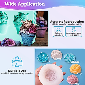 LET'S RESIN Silicone Mold Making Kit Liquid Silicone Rubber Non-Toxic Translucent Clear Mold Making Silicone-Mixing Ratio 1:1-Molding Silicone for Resin Molds,Silicone Molds DIY Manual Making(20.46oz)