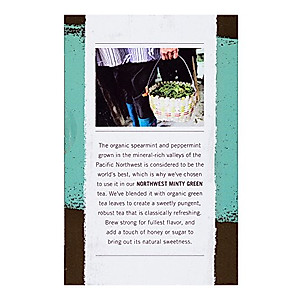 Allegro Tea, Organic Northwest Minty Green Tea Bags, 20 ct