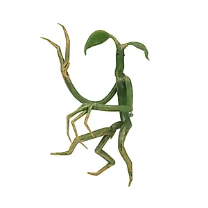 Fantastic Beasts Pickett Bowtruckle Pin Pendant Costume Accessory