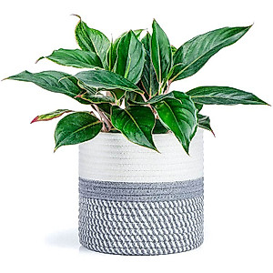 OHROS 1 Piece Woven Baskets For Storage Cotton Rope Baskets For Organizing 11 Inch Cube Storage Bin Small Laundry Basket For Bathroom Cat Dog Toys Bin Clothes Closet Storage Shelf Organizer 11x11x11''