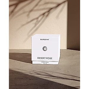 Bursera Scented Candle - Desert Rose, Tree Planted with Every Order, Natural Scented Soy Candle | 7.4oz Single Wick Candle | Slow Burning 45hr Burn Time, Aromatherapy Non Toxic Candles