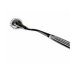 Wartenberg Stainless Steel Pinwheel - Steel Spur