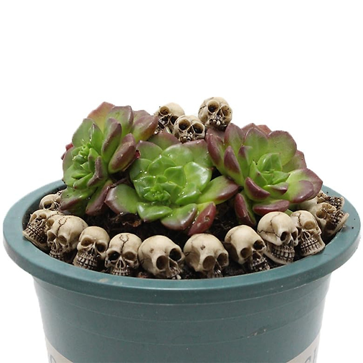 Upokjens 20Pcs Halloween Mini Skulls Figurine Decoration Realistic Looking Skulls for Halloween Home Haunted House Day of The Dead Decor Party Supplies