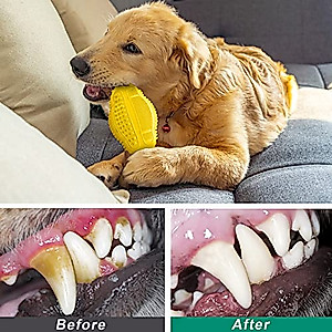 LUKITO Puppy Chew Toys 3 Pack, Durable Dog Chew Toys for Aggressive Chewers, Tough Puppy Teething Toys with Natural Rubber for Small and Medium Dog Teeth Cleaning