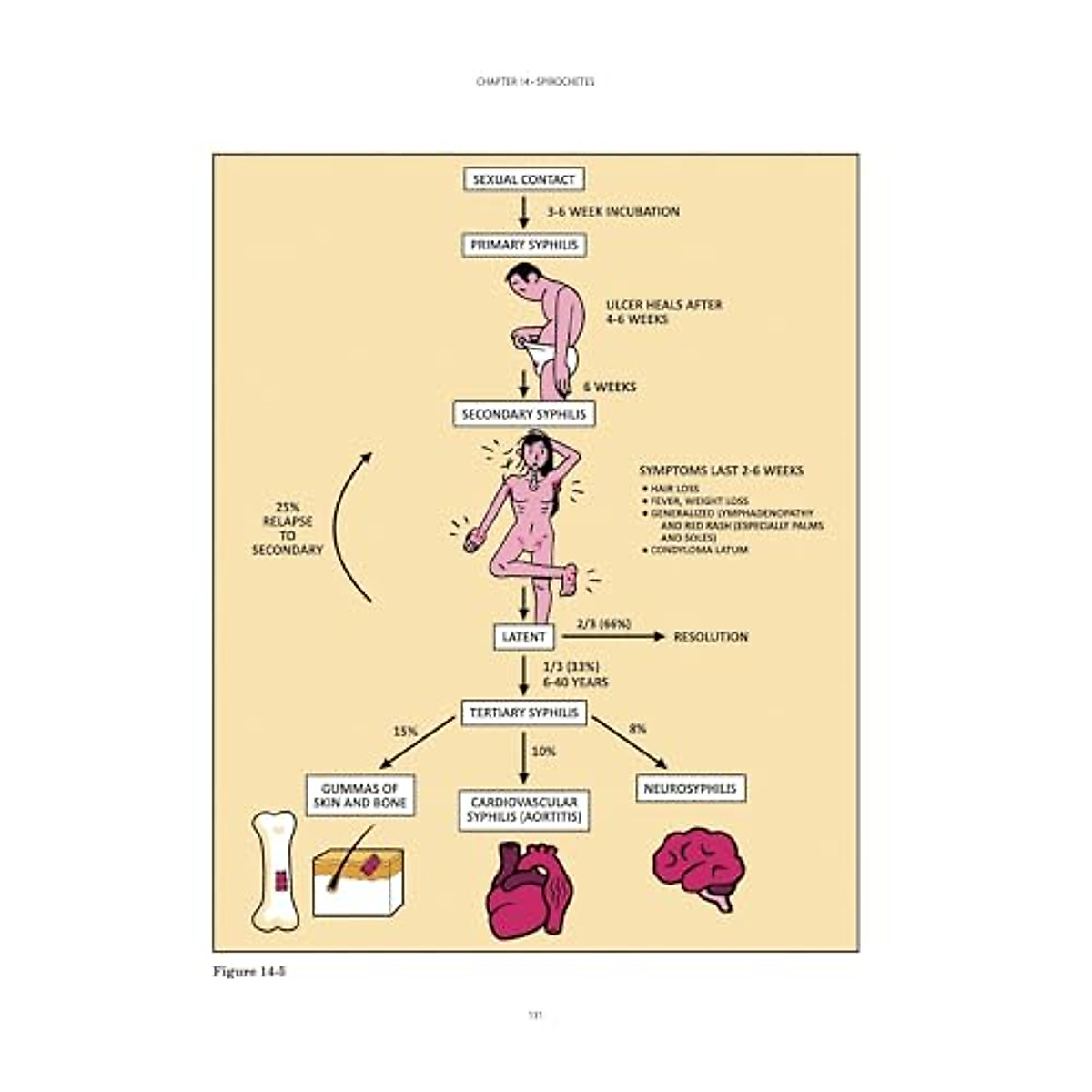 Clinical Microbiology Made Ridiculously Simple: Spiral Bound Color Edition