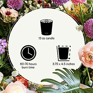 Apotheke 2-Wick Scented Candles for Home, White Vetiver - 13 oz Long-Lasting Soy Wax Jar Candle, 60-70 Hours Burn Time - Notes of Cashmere, Eucalyptus, Lilac, Sandalwood & White Cedar