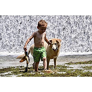 Spunky Pup, Fly & Fetch Duck (2041)