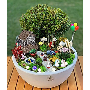 TCJJ 51 Pieces Miniature Fairy Garden Accessories, Fairy Garden Kit, Miniature Figurines Fairy Garden Supplies DIY Micro Landscape Ornaments for Garden Dollhouse Potted Plant Bonsai Terrarium Decor