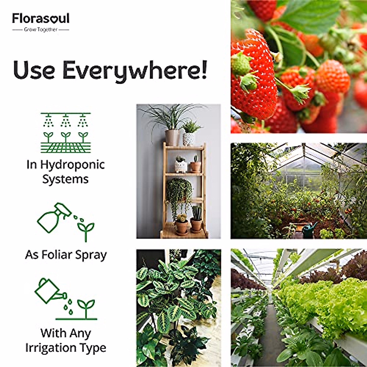 Florasoul All Purpose Liquid Plant Food Vegan Organic Garden Fertilizer Flowers, Vegetables, Herbs, Shrubs, Trees NPK3-4-18 Water Soluble Organic Nutrients 500g/200 Gal