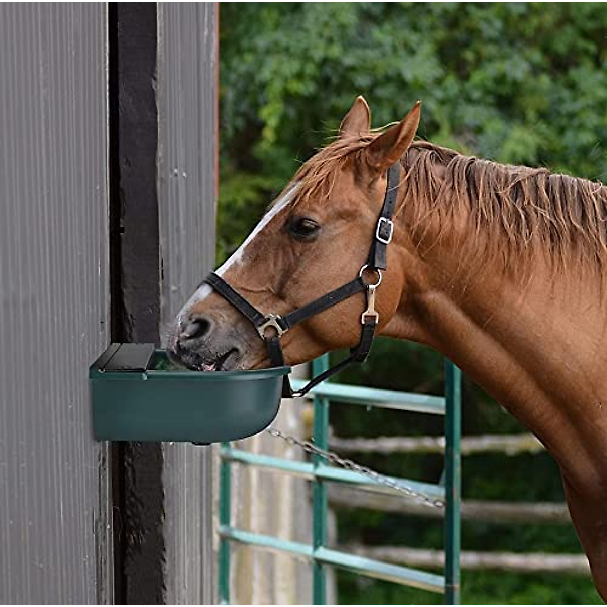 Yosoo Automatic Drinking Waterer Bowl, 4L Automatic Water Trough Livestock Drinking Bowl Drainage Hole Water Trough Farm Grade with with Copper Nozzle for Horse Cattle Goat Sheep Dog