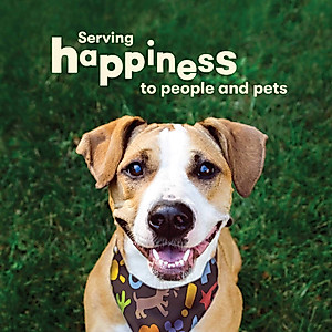 Pet 'n Shape Long Lasting Chewz Dog Treats - Chicken Wrapped Rawhide - 3 Bones, 6-Inch Long