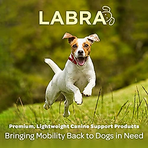 Labra Dog Extra Supportive Canine Rear (Hind) Leg Hock Joint Compression Wrap for Recovery, Protection, and Sprain and Injury Prevention, Ankle Brace with Knee Support for Dogs - Large
