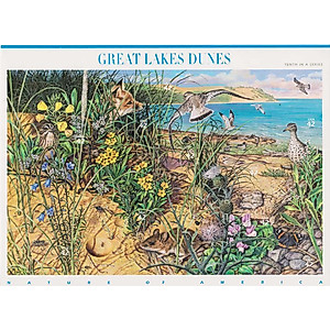 Great Lakes Dunes (Nature of America) Full Sheet of 10 x 42-Cent Postage Stamps, USA 2008, Scott 4352