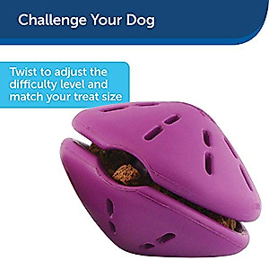 PetSafe Busy Buddy Twist 'n Treat Dispensing Dog Toy - Small, for Medium Breeds.,Small
