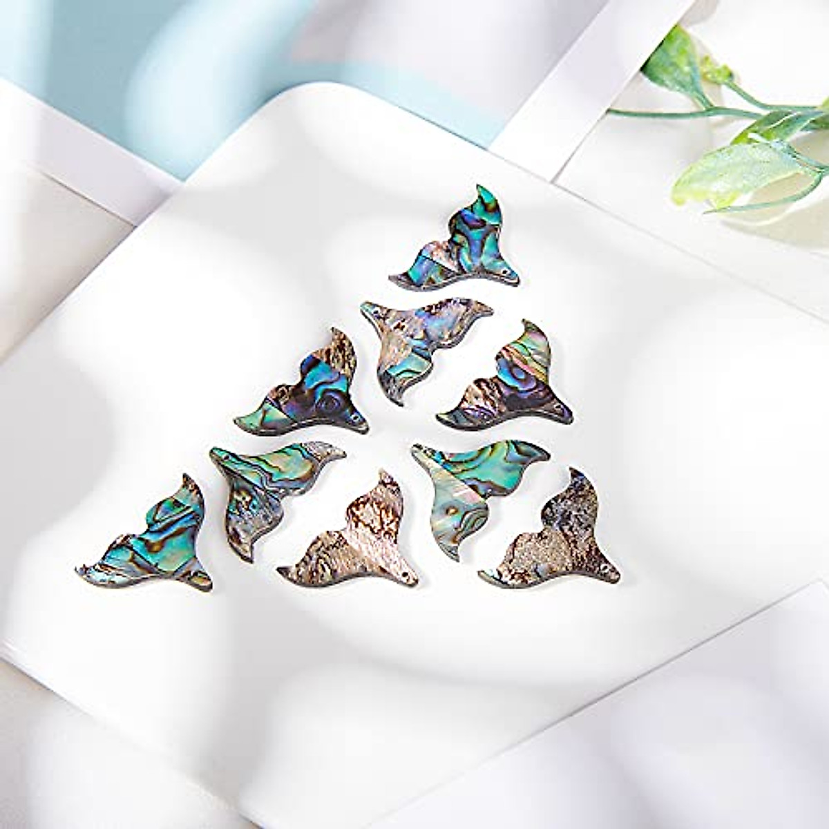 BENECREAT 16PCS Natural Abalone Shell Fishtail Abalone Shell Beads with Storage Containers for DIY Jewelry Making