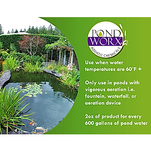 Pondworx Water Clear - Concentrated Formulation Improves Water Clarity and Quality, Helps Clear Cloudy Water, Safe for Fish, Pets, and Plant - 1 Gallon
