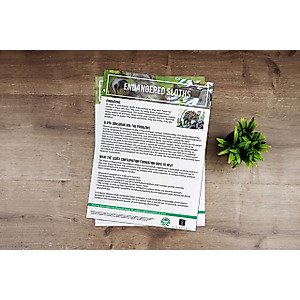 Gift Republic Sloth Adopt It, One Size, Multicolor