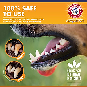 Arm & Hammer Enzymatic Dog Toothpaste - Peanut Butter Flavored Toothpaste - Baking Soda Infused Toothpaste - Complete Canine Oral Care for Fresh Breath & Dental Wellness - Doggie Toothpaste - 6.2 oz