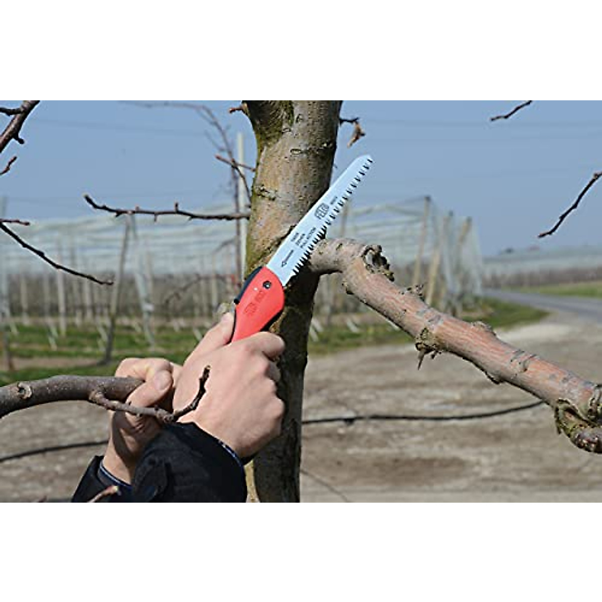 Felco Folding Saw (F 600) - Classic Tree Pruning Saw with Pull-Stroke Action, Red