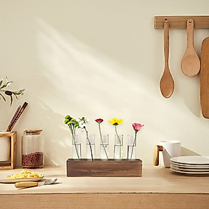 LitiVibecho Plant Propagation Station, Wooden Stand with 5 Glass Tubes, Desktop Plant Terrarium for Home Office Garden Decoration,Propagation Tube,Plant Propagation Tube,