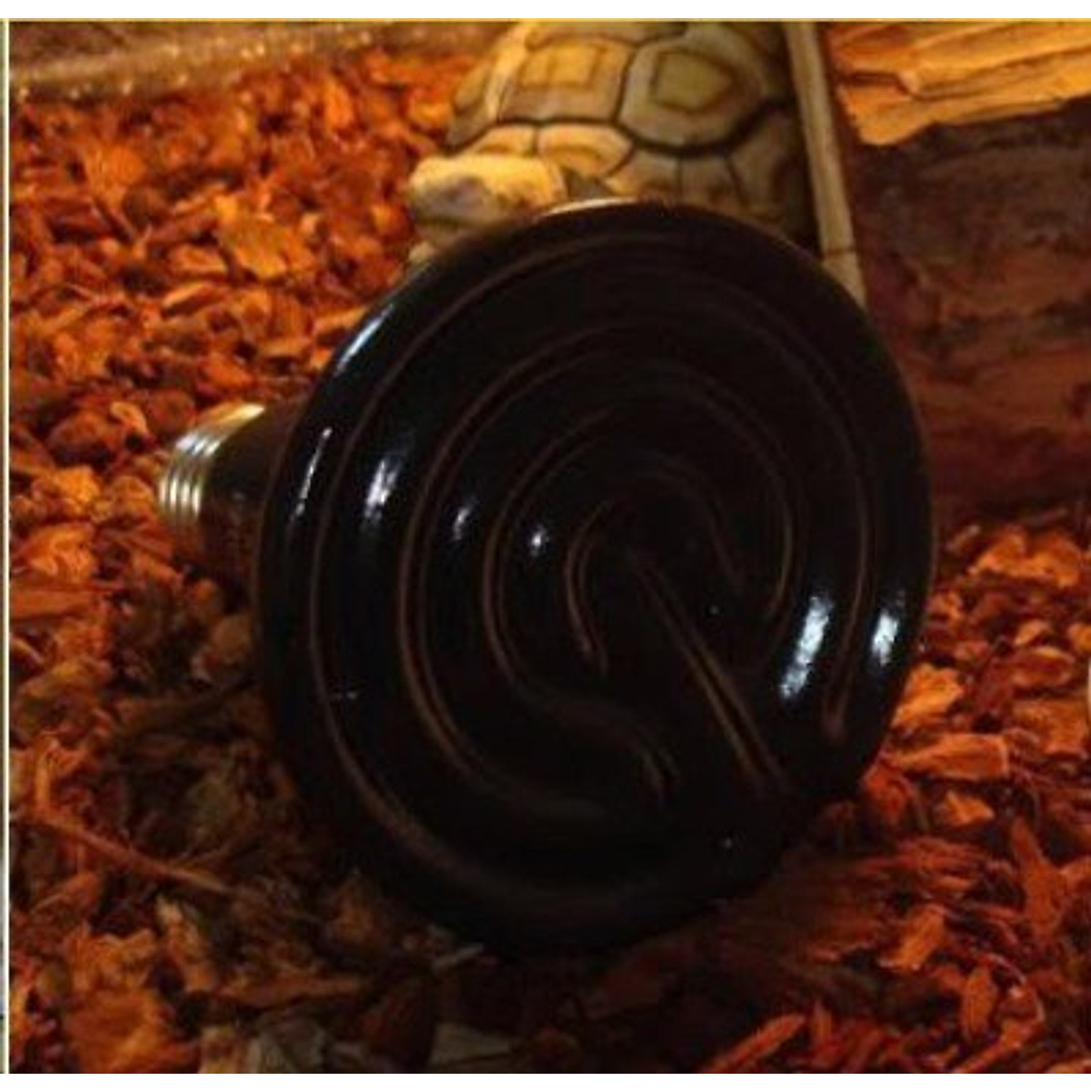 110V Ceramic Emitter Heat Lamp Grow Plant Lamp Zoo Turtle Pet Reptile Heater 200W Watts (Black)