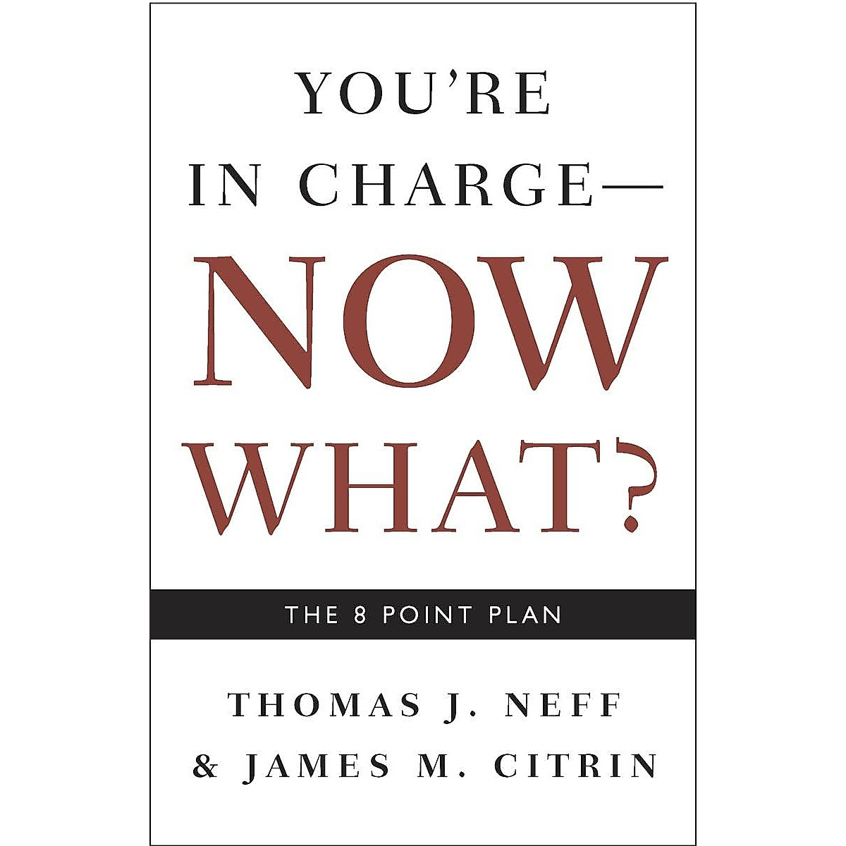 You're in Charge, Now What?: The 8 Point Plan