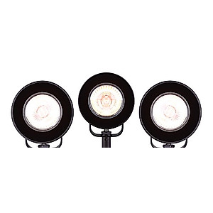 CANARM ICW622A03ORB10 LTD Polo 3 Light Ceiling/Wall, Oil Rubbed Bronze with Adjustable Heads