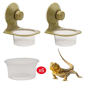 2 Pack Reptile Feeder Gecko Lizard Feeding Cup with Suction Cup, Reptile Food Water Feeder Dish with 6 pcs Cups for Geckos,Chameleon Lizard (Single)