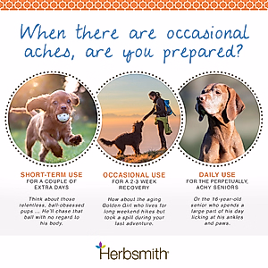 Herbsmith Comfort Aches – Herbal Pain Relief for Dogs + Cats – For Pet Aches + Pains – Anti-Inflammatory Supplement – 270 Tablets