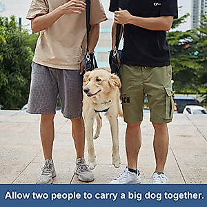 Dog Carry Sling, Emergency Backpack Pet Legs Support & Rehabilitation Dog Lift Harness for Nail Trimming, Dog Carrier for Senior Dogs Joint Injuries, Arthritis, Up and Down Stairs (XL, Blue)
