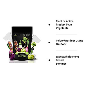 Exotic Vegetable Seeds Variety Pack - 6 Curious Garden Varieties to Grow, Non GMO, Open Pollinated, Heirloom, and Untreated for Planting, Unique Gardening Gift for Indoors and Outdoors