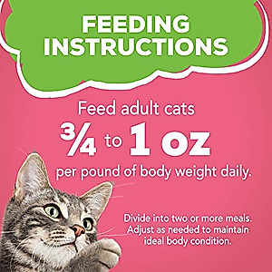Purina Friskies Wet Cat Food Pate, Salmon Dinner - (24) 5.5 oz. Cans