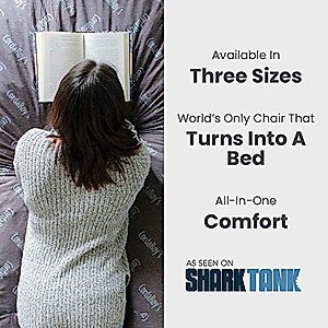 CordaRoy's Chenille Nest Bean Bag Chair, Convertible Chair Folds from Chair to Bed, As Seen on Shark Tank, Espresso, Queen