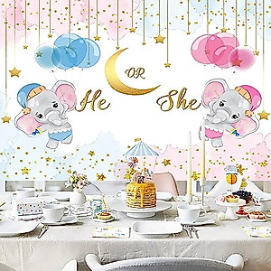 Yongfoto 6x4ft Elephant Gender Reveal Baby Shower Party Backdrop He or She What Will Baby Be Blue and Pink Balloons Gold Confetti Photography Backdrop Newborn Party Decorations Banner Studio Props