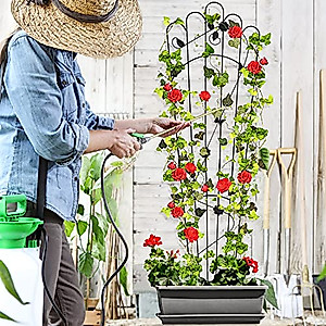 XYADX Metal Detachable Trapezoidal Garden Trellis for Climbing Plants Outdoor 60 Inches Sturdy Patio Plant Support for Indoor Plants Trellis for Rose, Vegetable Flower, Backyard Pack of 4 - Black