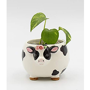 Cosmos Gifts Fine Ceramic Country Barnyard Cow Candy Dish Bowl/Plant Planter, 5" L