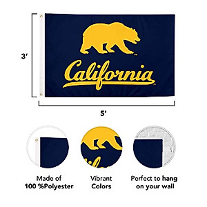 Desert Cactus University of California Berkeley Flag Golden Bears Cal UC Flags Banners 100% Polyester Indoor Outdoor 3x5 (Style 4)
