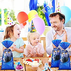 Hotop 100 PCS Cat Cellophane Bags Gift Treat Goodie Candy Party Favor Bag with 150 Ties Kitty Themed Birthday Decorations Supplies for Kids Home Classroom Baby Shower