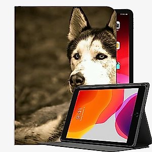 Wugao Wugao Case for iPad Air 3 (10.5-inch 2019,3rd Generation) and iPad Pro 10.5,Siberian Husky Blue Eyes A021 Business Folio Stand Cover with Pencil Holder