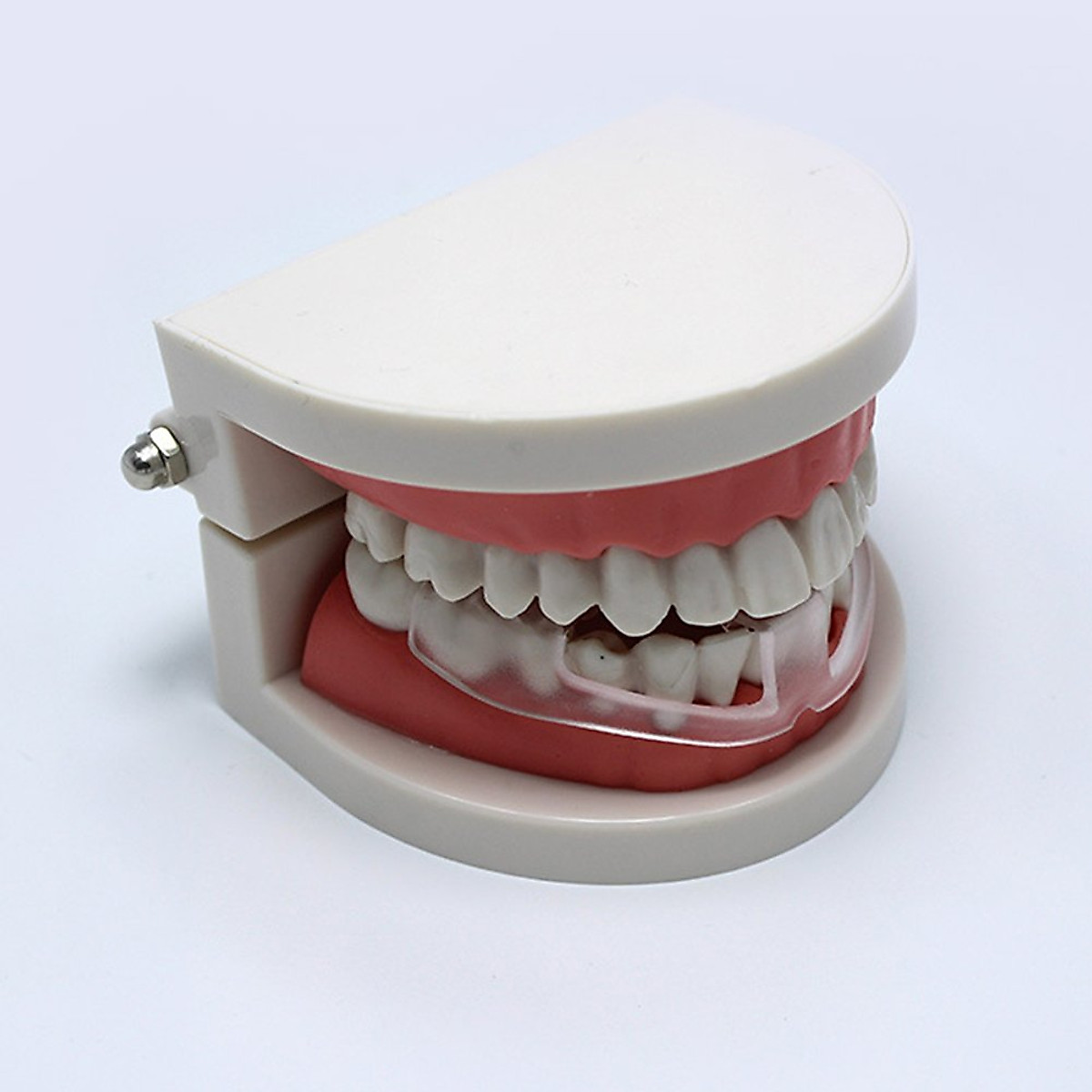 BESPORTBLE 3Pcs Dental Night Protector Dental No More Teeth Grinding Food Grade EVA Supplies for Kids (Transparent)